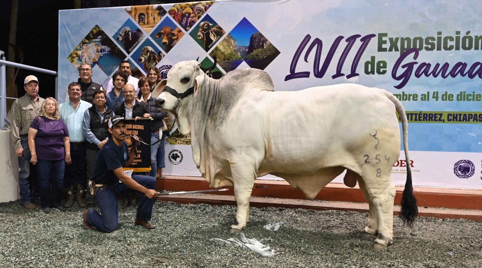 LVII EXPOSICION NACIONAL DE GANADO CEBÚ 2021 – Rancho Chapopote