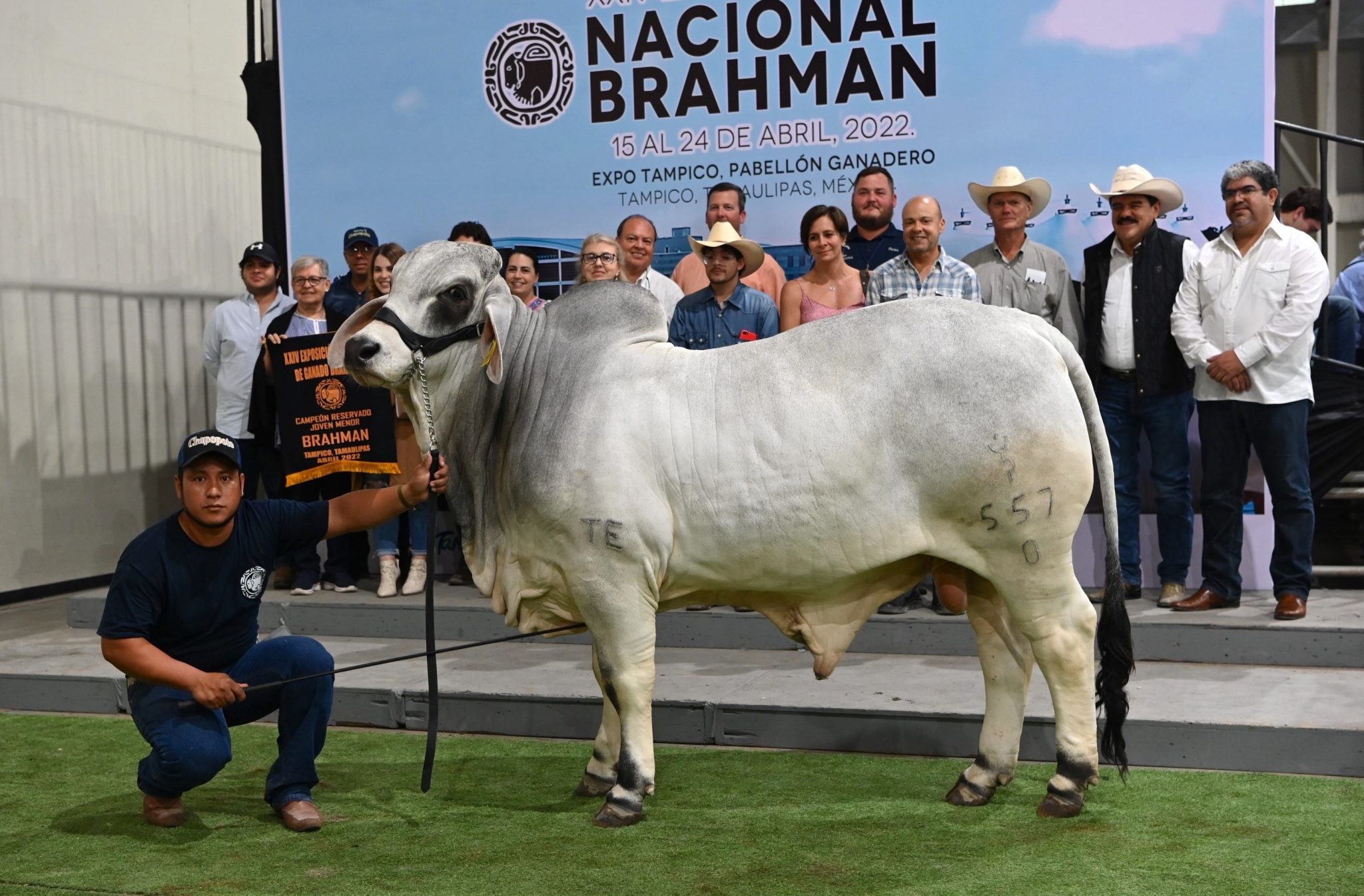 Chapopote 13 – Rancho Chapopote