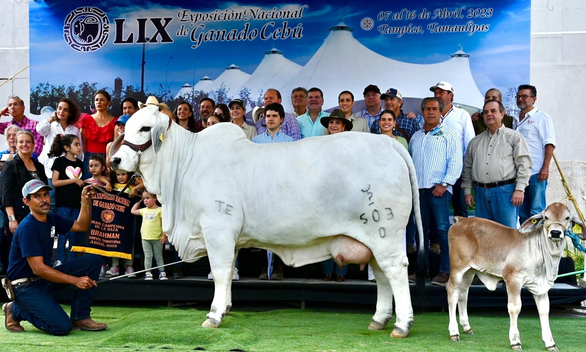 LIX EXPOSICION NACIONAL DE GANADO CEBU – Rancho Chapopote