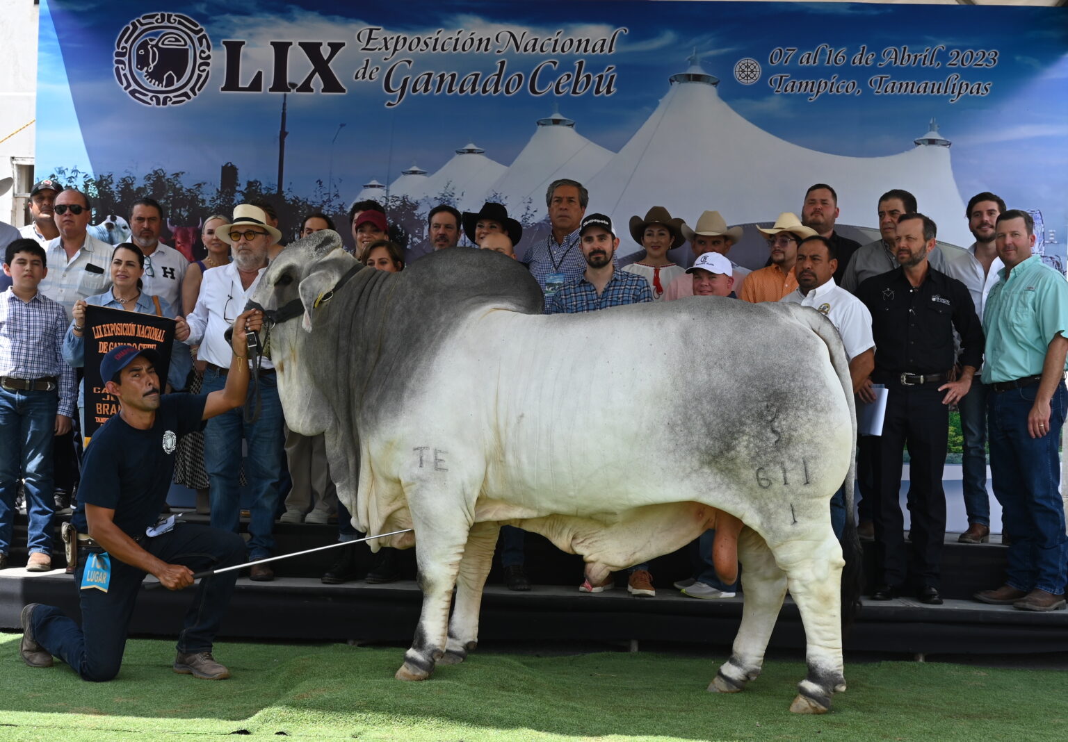 LIX EXPOSICION NACIONAL DE GANADO CEBU – Rancho Chapopote