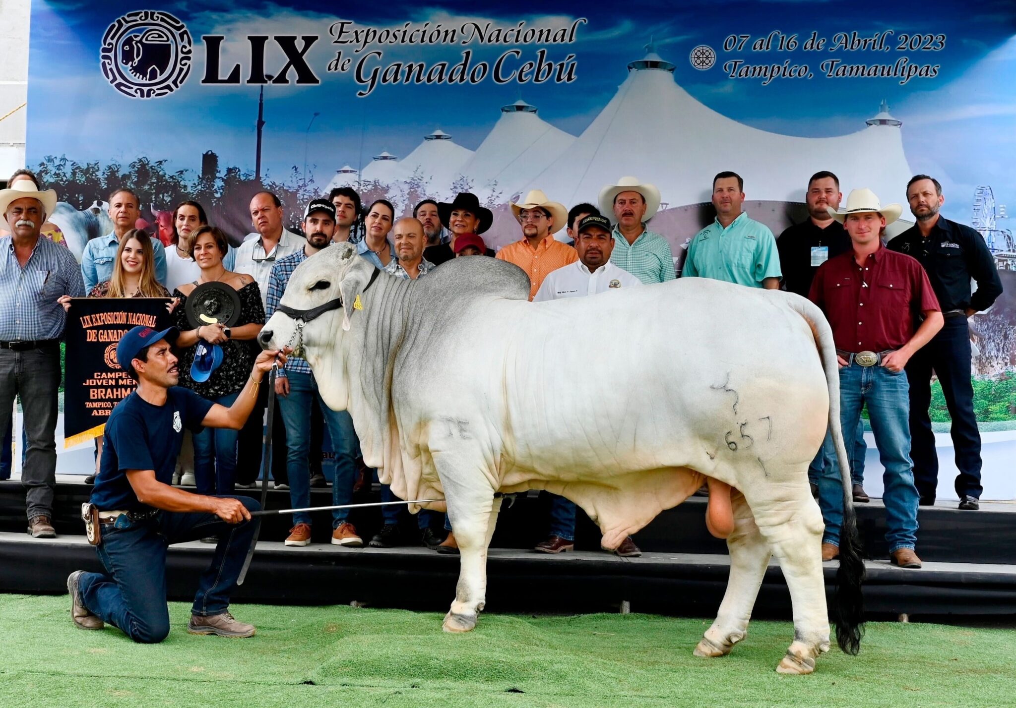 LIX EXPOSICION NACIONAL DE GANADO CEBU – Rancho Chapopote